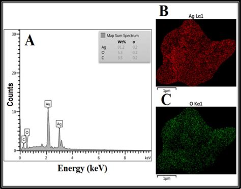 A Eds Spectrum Of γ Fe2o3 Ag2o Nanocomposite And Its Corresponding Download Scientific