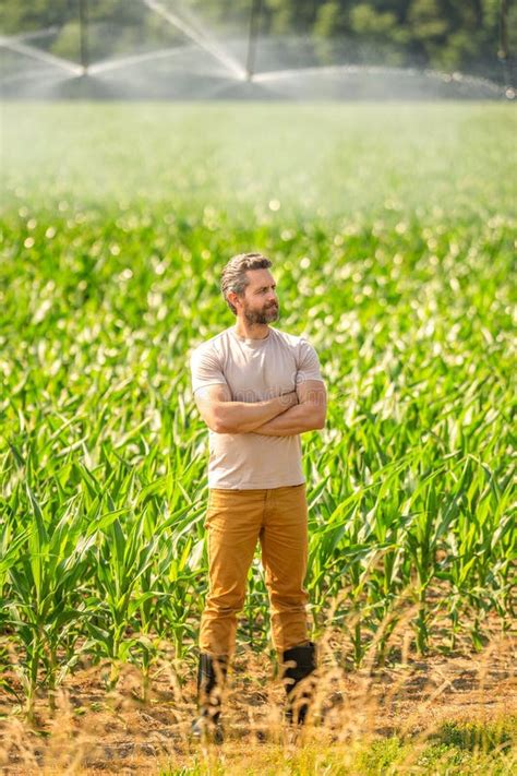 Man At Irrigation System Watering Agricultural Field Farmer Man