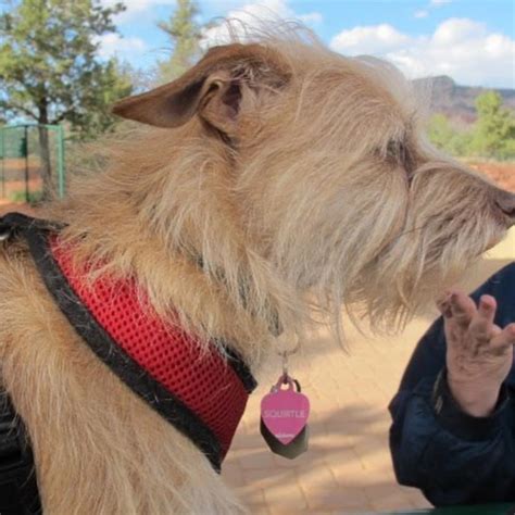 Clarence M Crouch Youtube