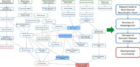 Case Study II AOP Network Covering AOP 3 12 13 17 42 48 54 Download Scientific Diagram