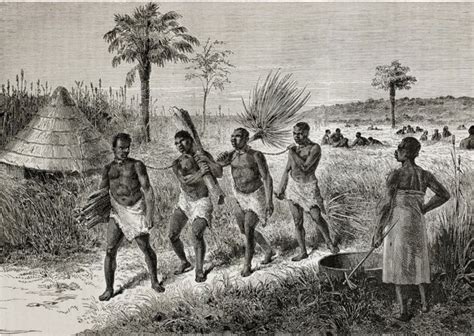 Enslaved Peoples In African Societies Before The Transatlantic Slave Trade Americas Black