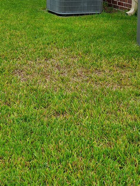 Grass Ask Extension