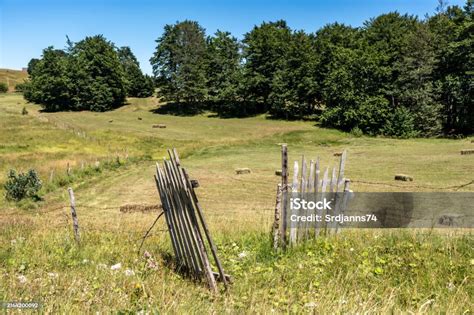 Durmitor 국립 공원의 장엄한 여름날 마을 Zabljak 몬테네그로 발칸 반도 유럽 인기 있는 여행 목적지의 경치 좋은