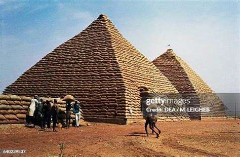 Stacking Sacks Of Peanuts In Pyramids Malbasa Niger News Photo Getty Images