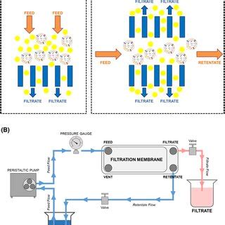 The Principle Of Tangential Flow Filtration A Representation Of