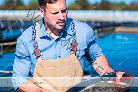 Beginners Guide How To Start Fish Farming In Australia