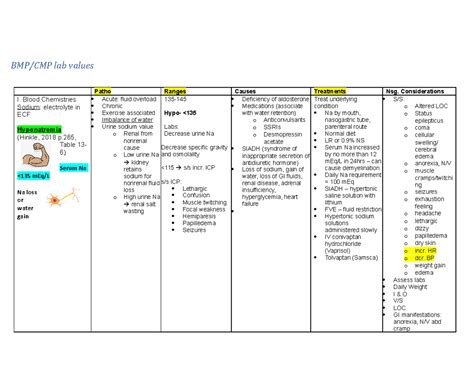 Bmpcmp Lab Values Bmp Cmp Labs Bmpcmp Lab Values Patho Ranges