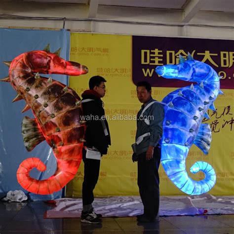 Seahorse Costume