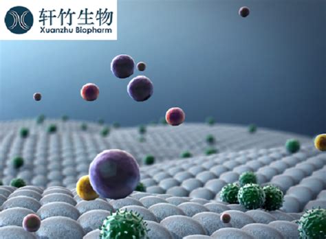 轩竹生物ipo遇阻：业务收购有蹊跷，一募投项目环评或有遗漏 知乎