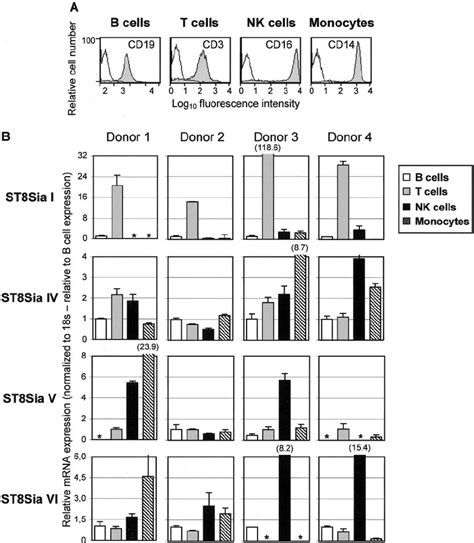 Human ␣ 28 Sialyltransferase Mrna Expression In Lymphocytes A B