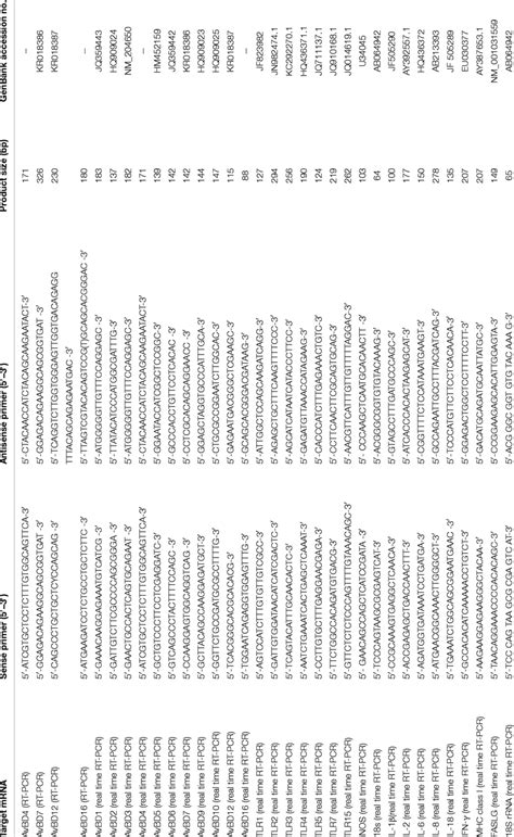 Pcr Primer Sequences And Predicted Product Lengths Download Table