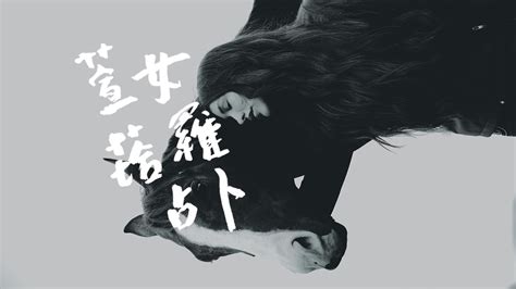 🦄 感情占卜 ♾ 💘 我的感情被什麼卡住了？ 💘 ♾（脫單有戀人參考，沒有時間限制） Youtube