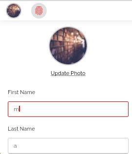 Name Textfield Error Issue Gskinnerteam Flutter Folio Github