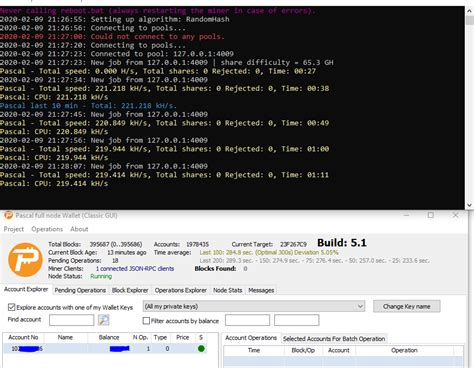 Solo Mining Confirmation Please Issue Nanopool Nanominer GitHub