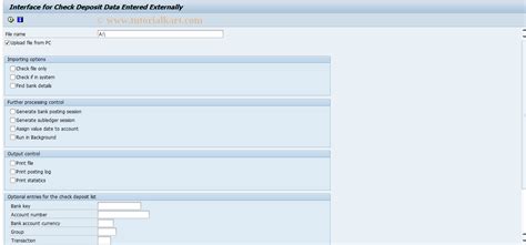 Ffb Sap Tcode Import Electronic Check Deposit List