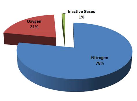 Makeup Of Atmosphere Gases Saubhaya Makeup