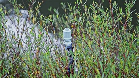 Rain Detector Sensor For Smart Garden Automated Lawn Watering System