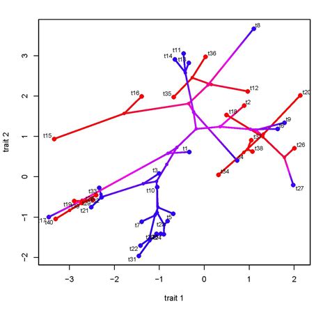 Phylogenetic Tools For Comparative Biology Small Update To Contmap And