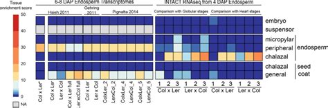 Tissue Enrichment Analysis Comparison Of Rna Seq Datasets With Our