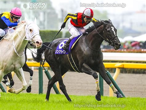 第18回 ヴィクトリアマイル 回顧 競馬 研究ニュース
