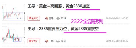 王导：黄金空单两连胜，2335、2330空全部获利 Eagle Trader