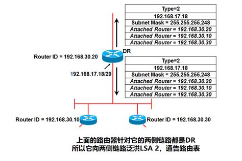 ospf lsa 爱壮壮的小帅 博客园