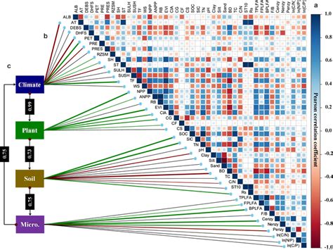 Terrestrial Oxygen Production Top Responses To Ecosystem Factors A Download Scientific