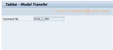 OPTF SAP Tcode Command File For PS Graphic