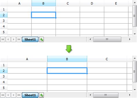 Appearance Customization VCL DevExpress Documentation