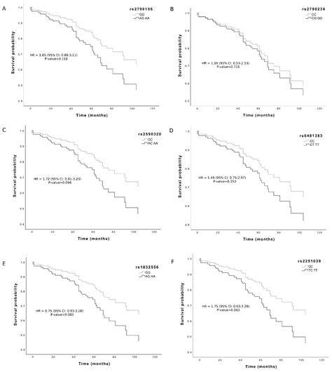 Inositol Polyphosphate Multikinase Ipmk A Gene Coding For A Potential Moonlighting Protein