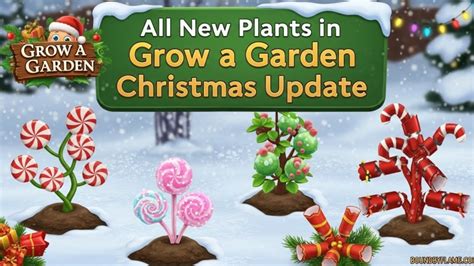 Christmas Plant For Grow A Garden Expert January 2026 Guide