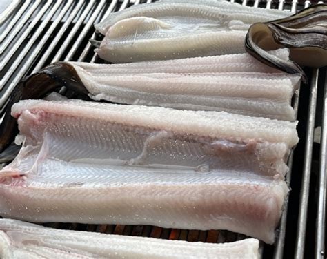 6시내고향 충남 태안 아나고 수요일엔 수산물
