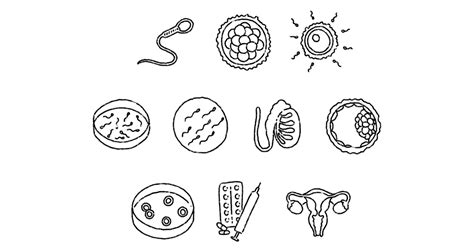 Lgbtq Fertility Treatments 101