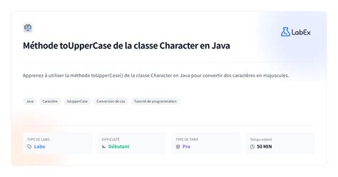 Conversion De Cas De Caractères Java Tutoriel De Programmation Labex