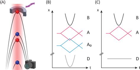figure 1 from inference of gravitational field superposition from