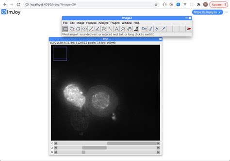 GitHub Will Moore Omero Imjoy OMERO Web Plugin To Open Images In ImJoy Or ImageJ JS