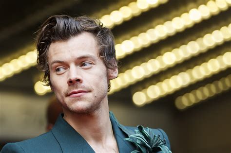 Harry Styles Says Wasted Time Makes My Policeman So Devastating Toronto Sun