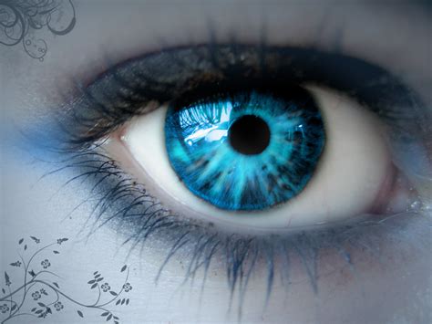 Eye Eyes Photo 19801145 Fanpop