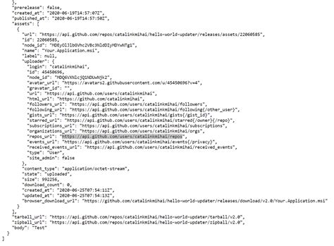 Auto Updating An Application Using Github