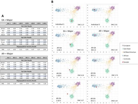 Validation Of The Verogen Forenseq™ Dna Signature Prep Kitprimer Mix B