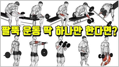 진정한 팔뚝 사이즈를 키우기 위한 최고의 운동 Youtube