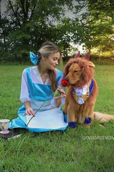 20 Halloween Costumes That Will Actually Fit Your Large Breed Dog Pet