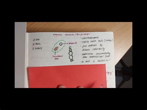 Plasmid Isolation Extraction Boiling Alkaline Lysis Bmls Filipino Tagalog Molecular Biology