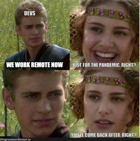 Right ProgrammerHumor Io