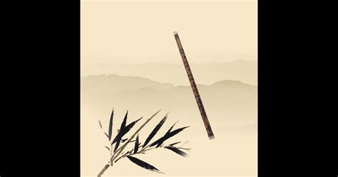 笛子独奏 民歌经典纯音乐 笛子名曲欣赏 竹笛纯音乐 茶馆音乐 李乐萱的专辑 Apple Music