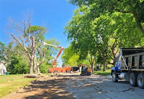 Ktandt Landscape Llc