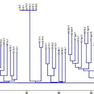 A Neighbour Joining Dendrogram Of ERIC PCR Fingerprints Of L
