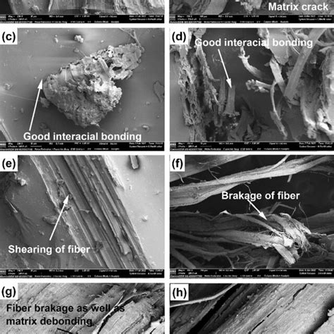 SEM Image Of Different Failed Composites Download Scientific Diagram