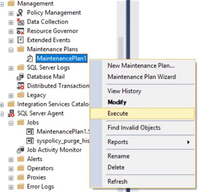 Getting Started With Sql Server Maintenance Plans Part