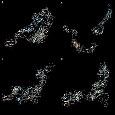 Structure Comparison Between Wild Type And Mutated Protein Brown Download Scientific Diagram